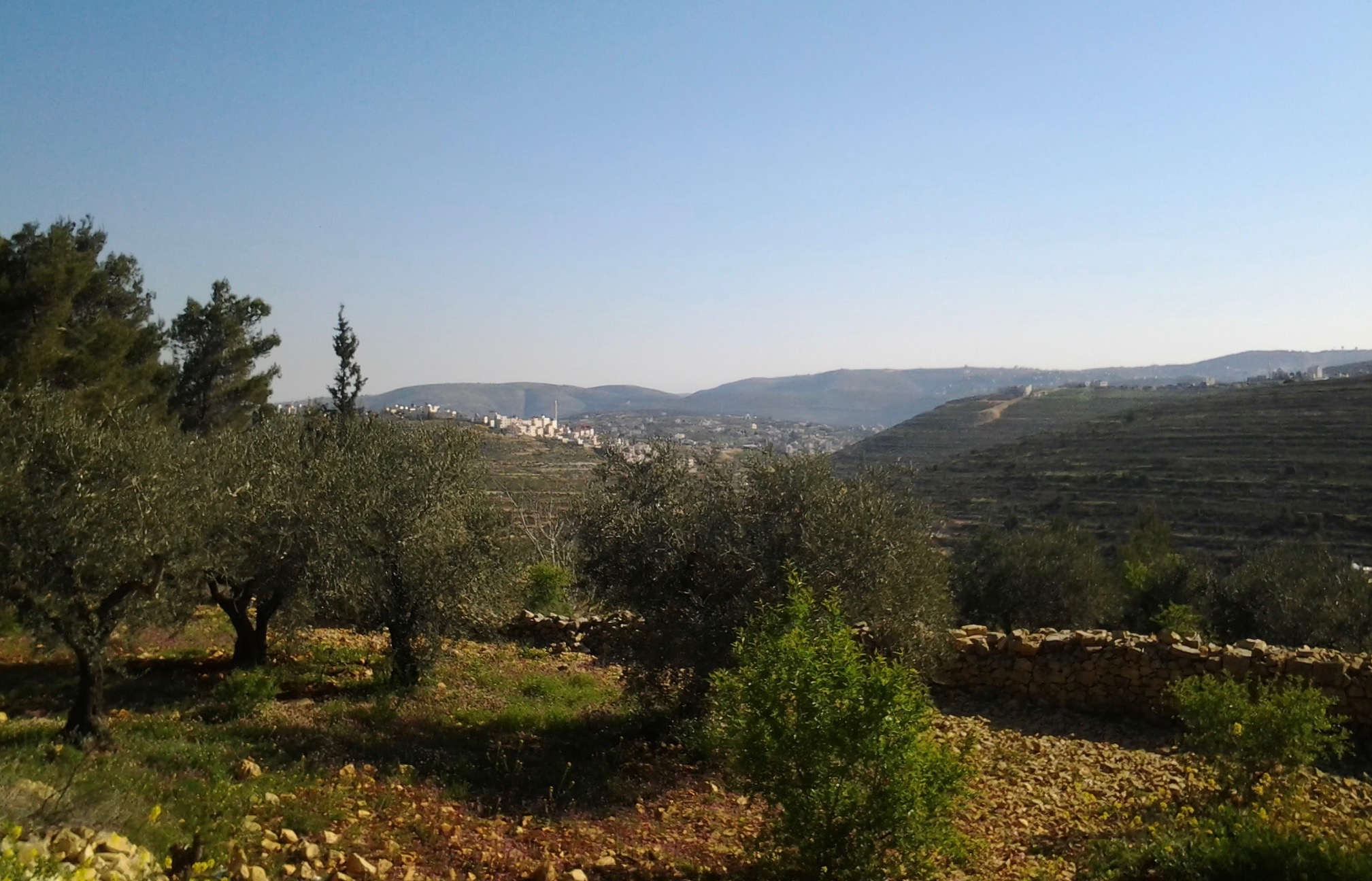 Peace is Every Step: Events in Israel | Plum Village