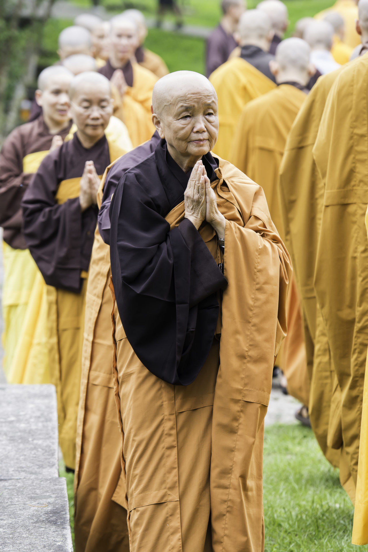 Thich Nhat Hanh Press Photos | Plum Village