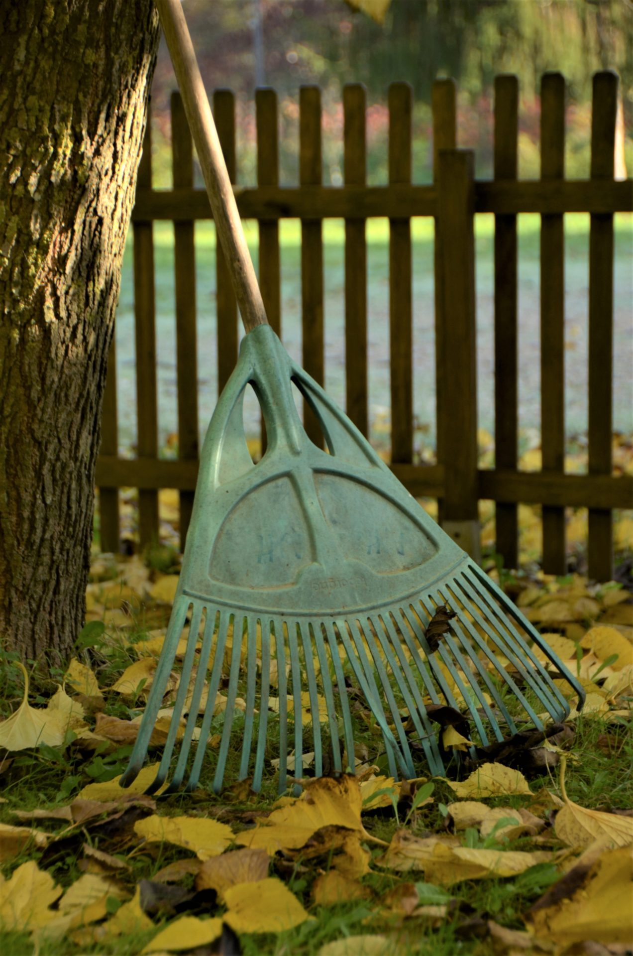 Photos / Zen Autumn | Plum Village