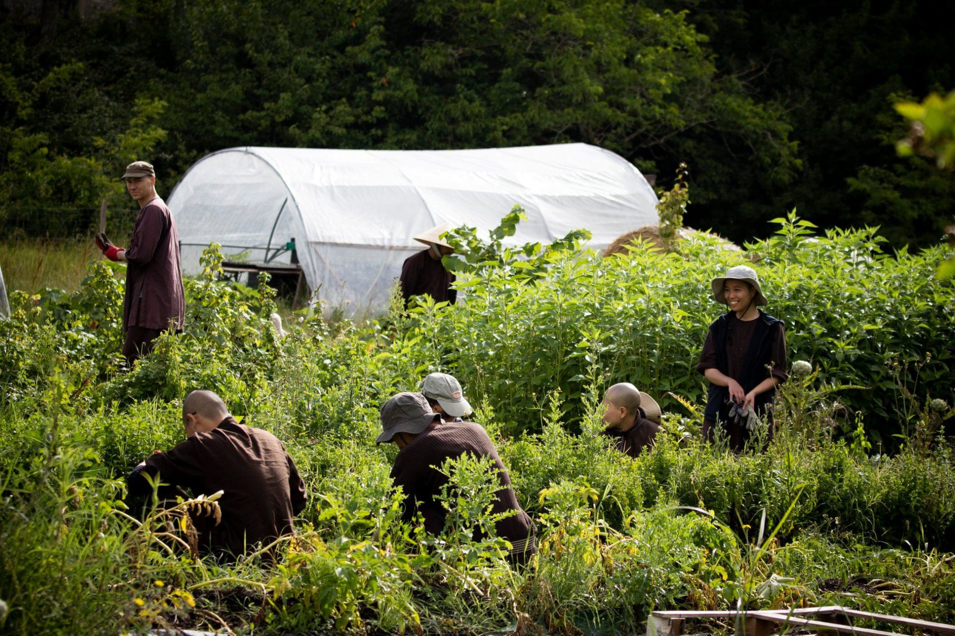 Photos / Happy Farm Community Work Day | Plum Village