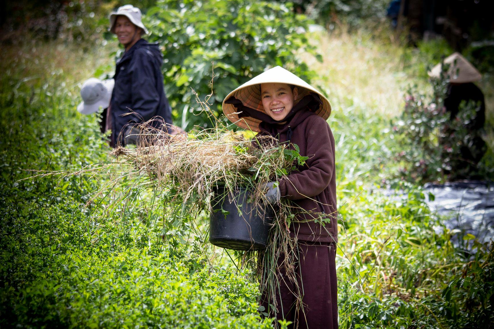 Photos / Happy Farm Community Work Day | Plum Village