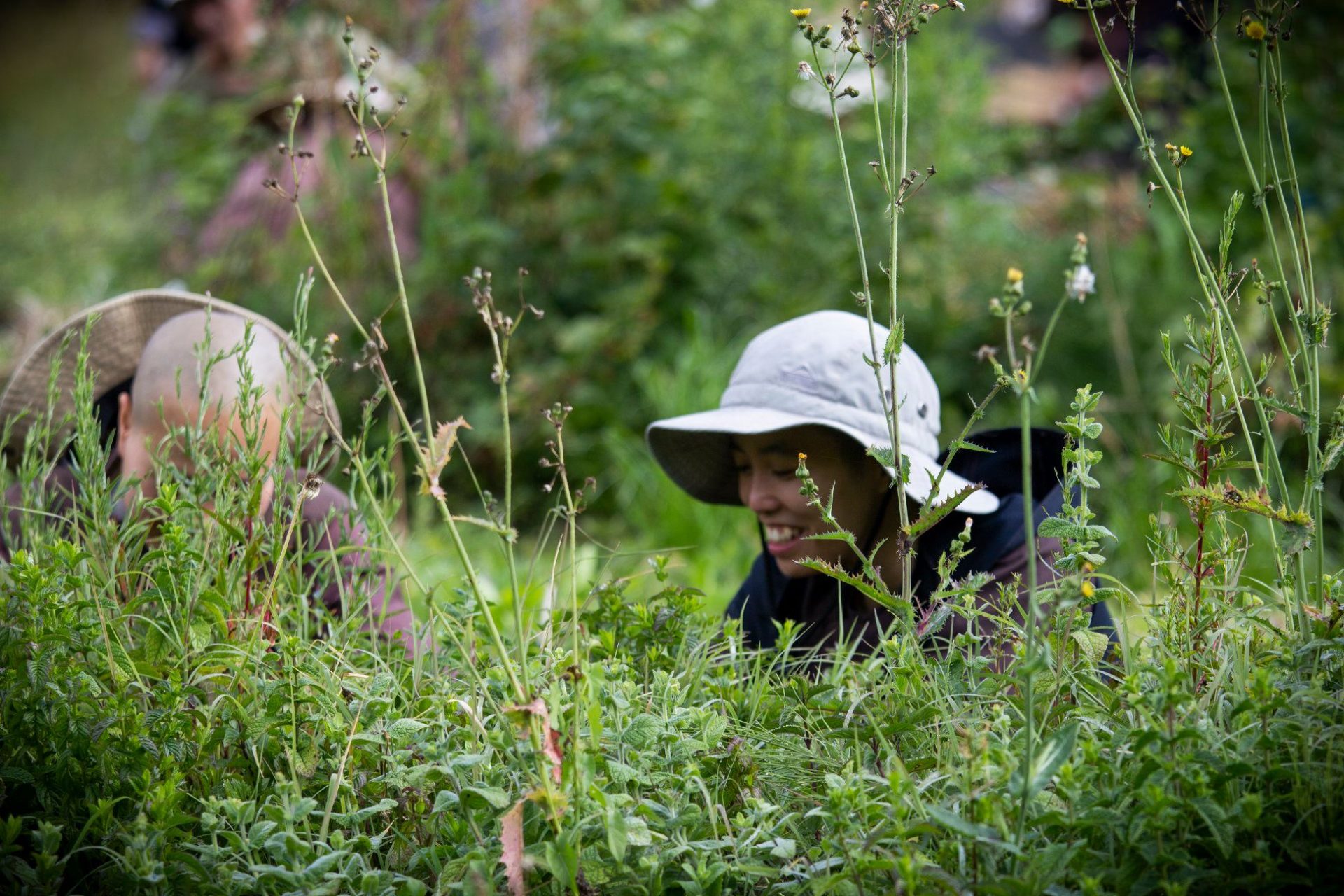 Photos / Happy Farm Community Work Day | Plum Village