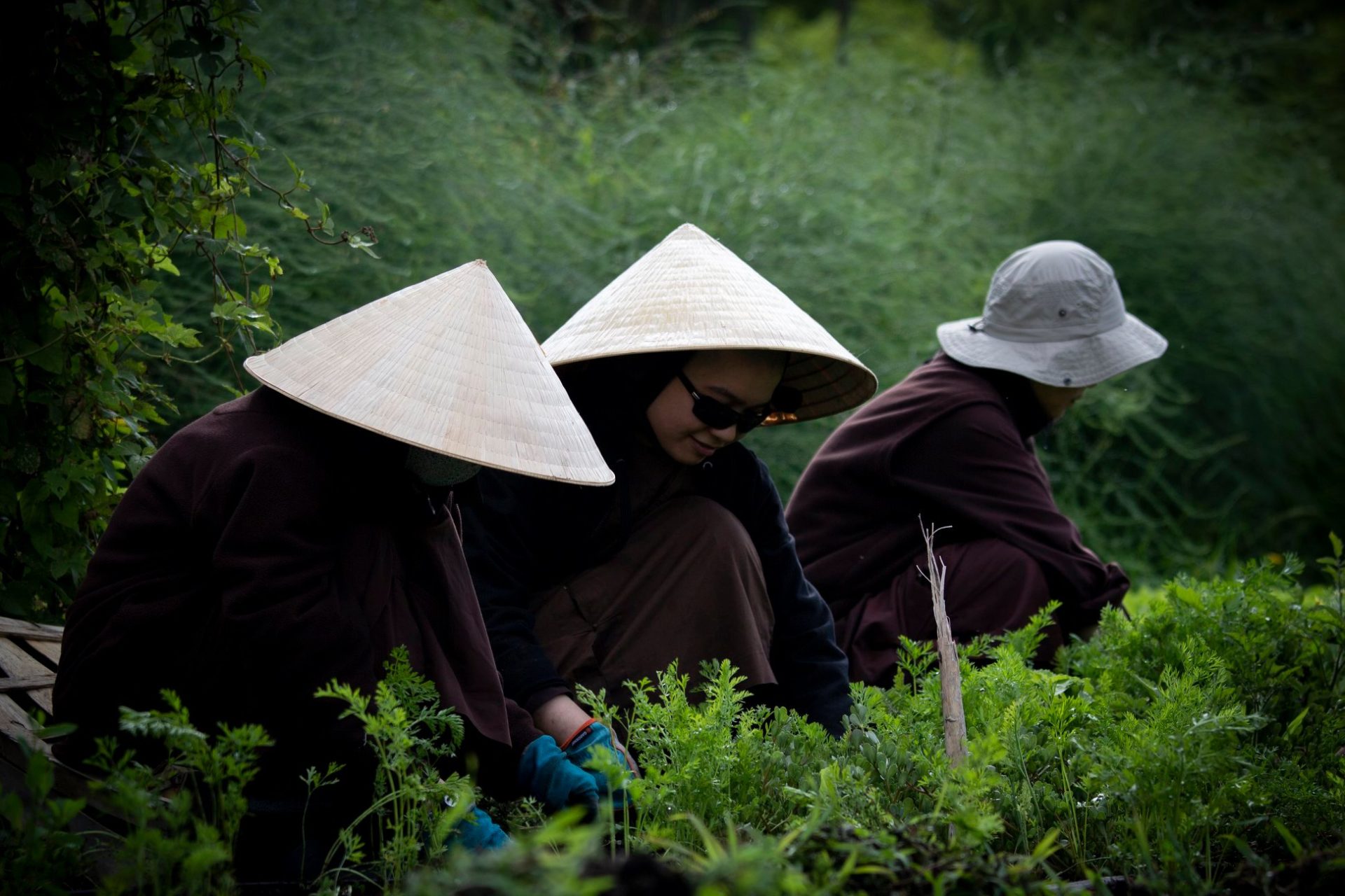Photos / Happy Farm Community Work Day | Plum Village