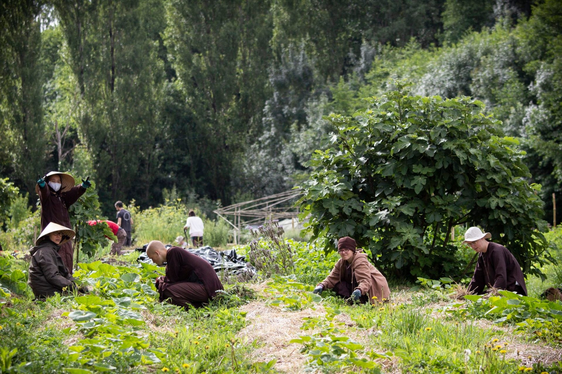 Photos / Happy Farm Community Work Day | Plum Village