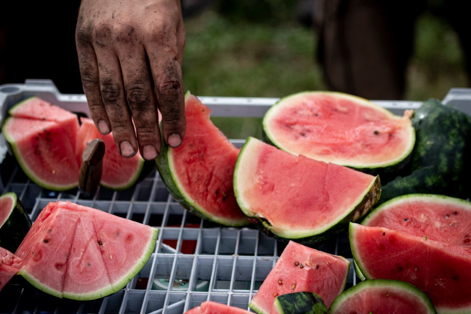 Photos / Happy Farm Community Work Day | Plum Village