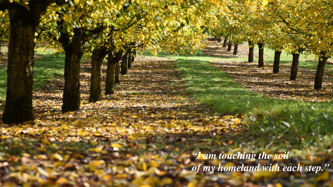 Photos / Zen Autumn | Plum Village