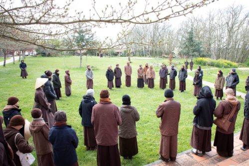 Photos / Monastic Retreat 2021 | Plum Village