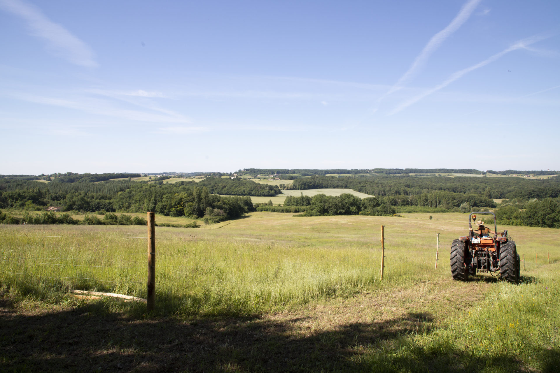 Engaged Buddhism / Rewilding: Healing, Regeneration and Transformation ...