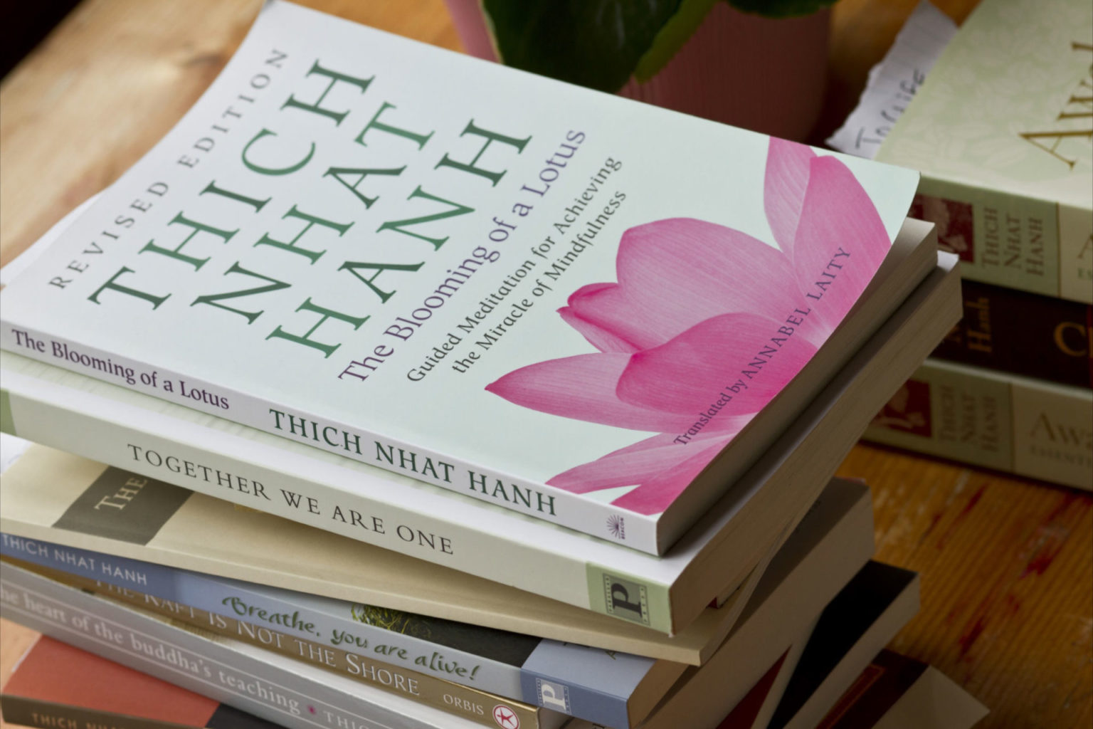 How Thich Nhat Hanh’s books are published | Plum Village