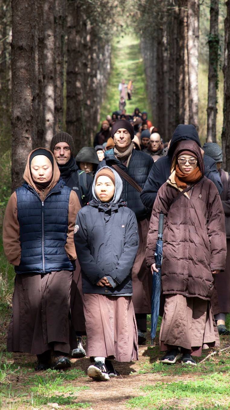 Female Buddhas: A Revolution for Nuns in the Plum Village Tradition ...