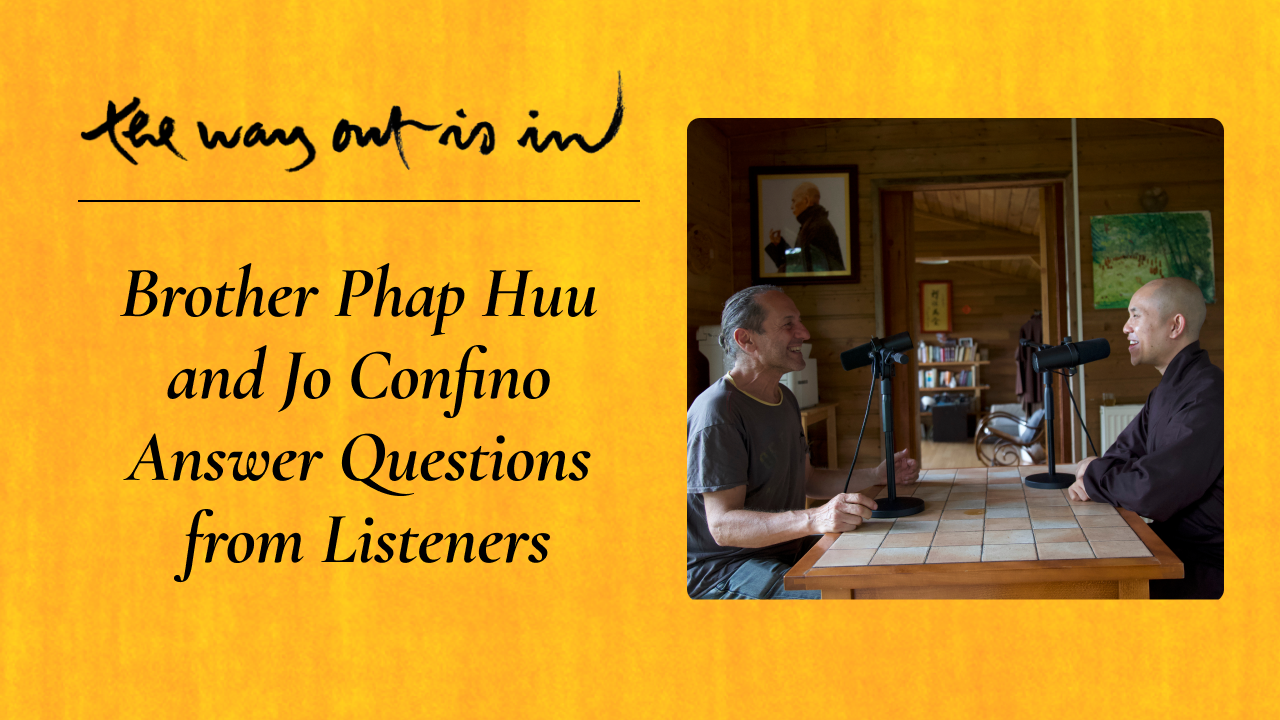Brother Phap Huu and Jo Confino Answer Questions from Listeners ...