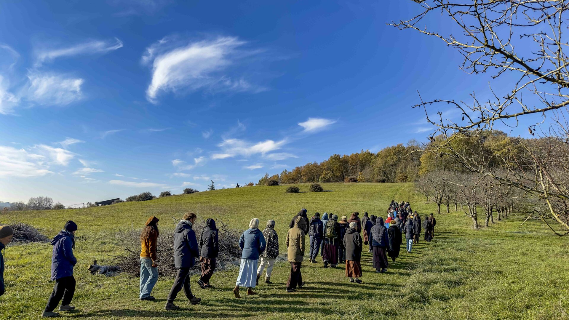 Earth Day / Please walk mindfully for our planet | Plum Village