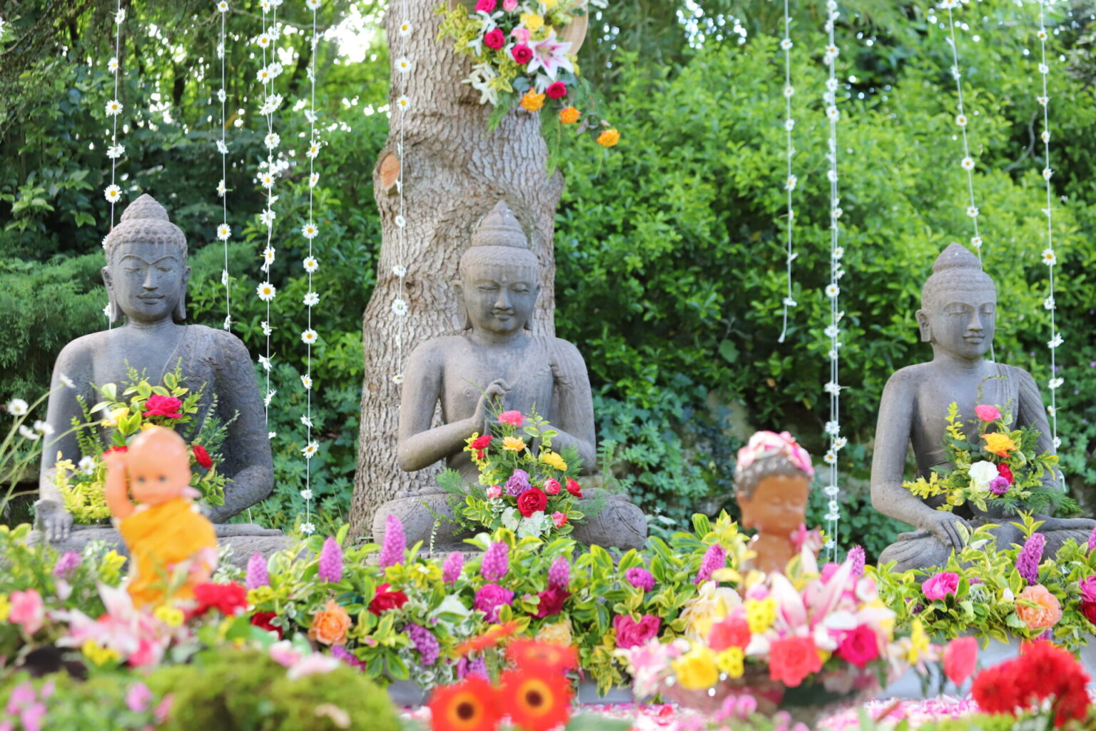 Photos / Vesak Day at Plum Village France 2024 | Plum Village