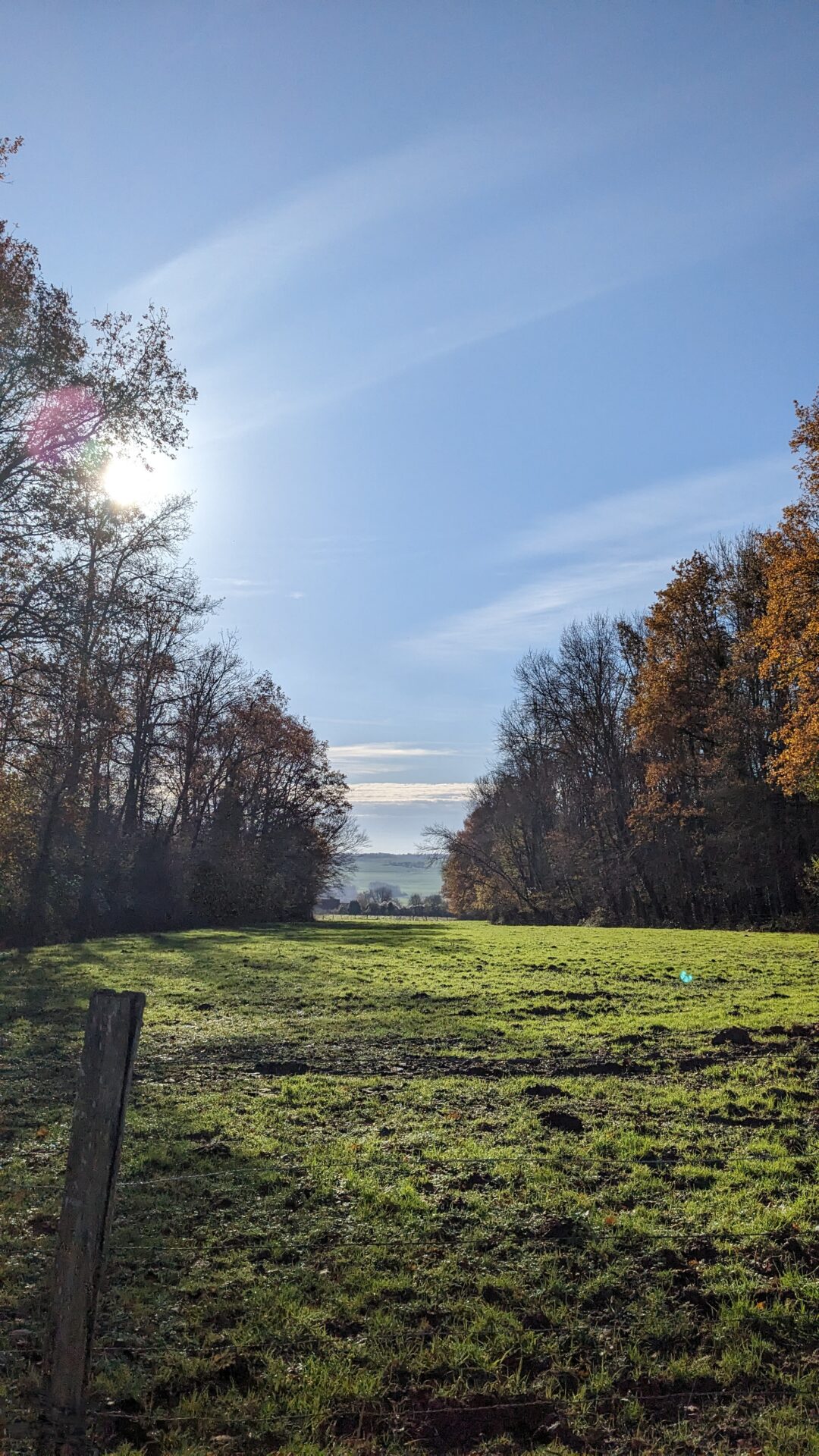 Volunteer Program 2026 at Healing Spring Monastery | Plum Village