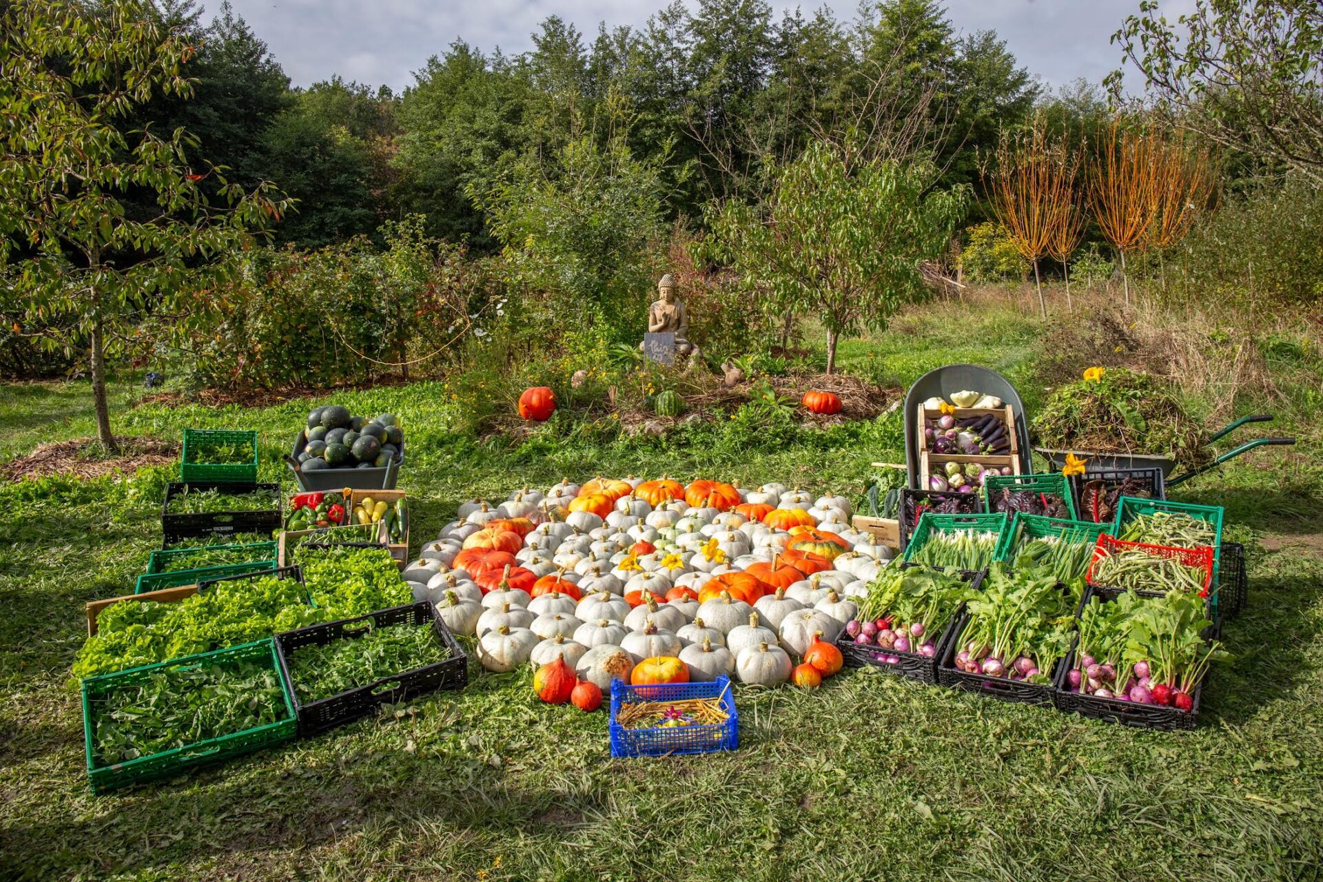 Retraite à Thème : Récolte à la Happy Farm - Hameau du Haut | Village ...