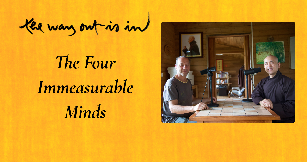 The Four Immeasurable Minds (Episode #88) | Plum Village
