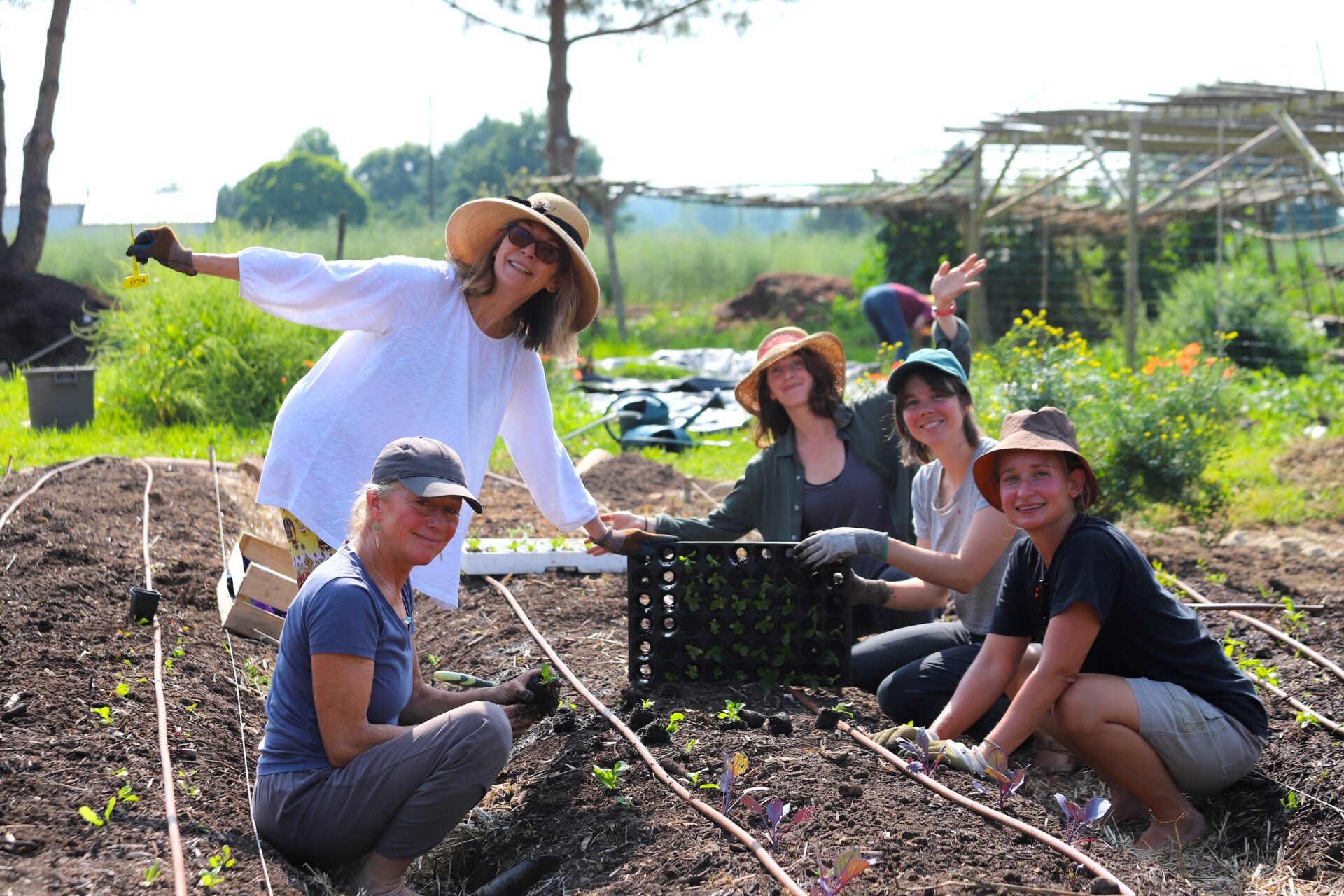 Happy Farm Week (New Hamlet) | Plum Village