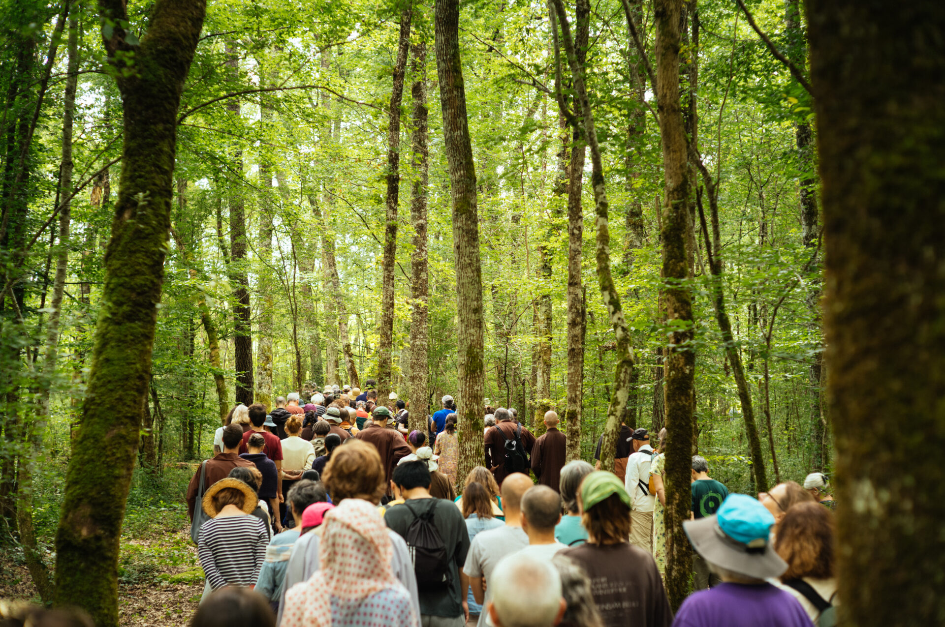 Nurturing the Fire | Plum Village