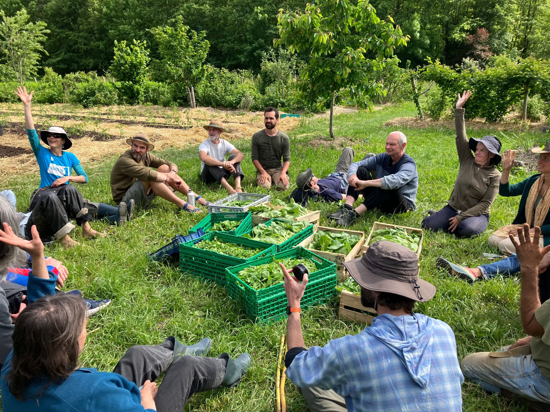 Volunteer for a Month or More on the Upper Hamlet Happy Farm | Plum Village