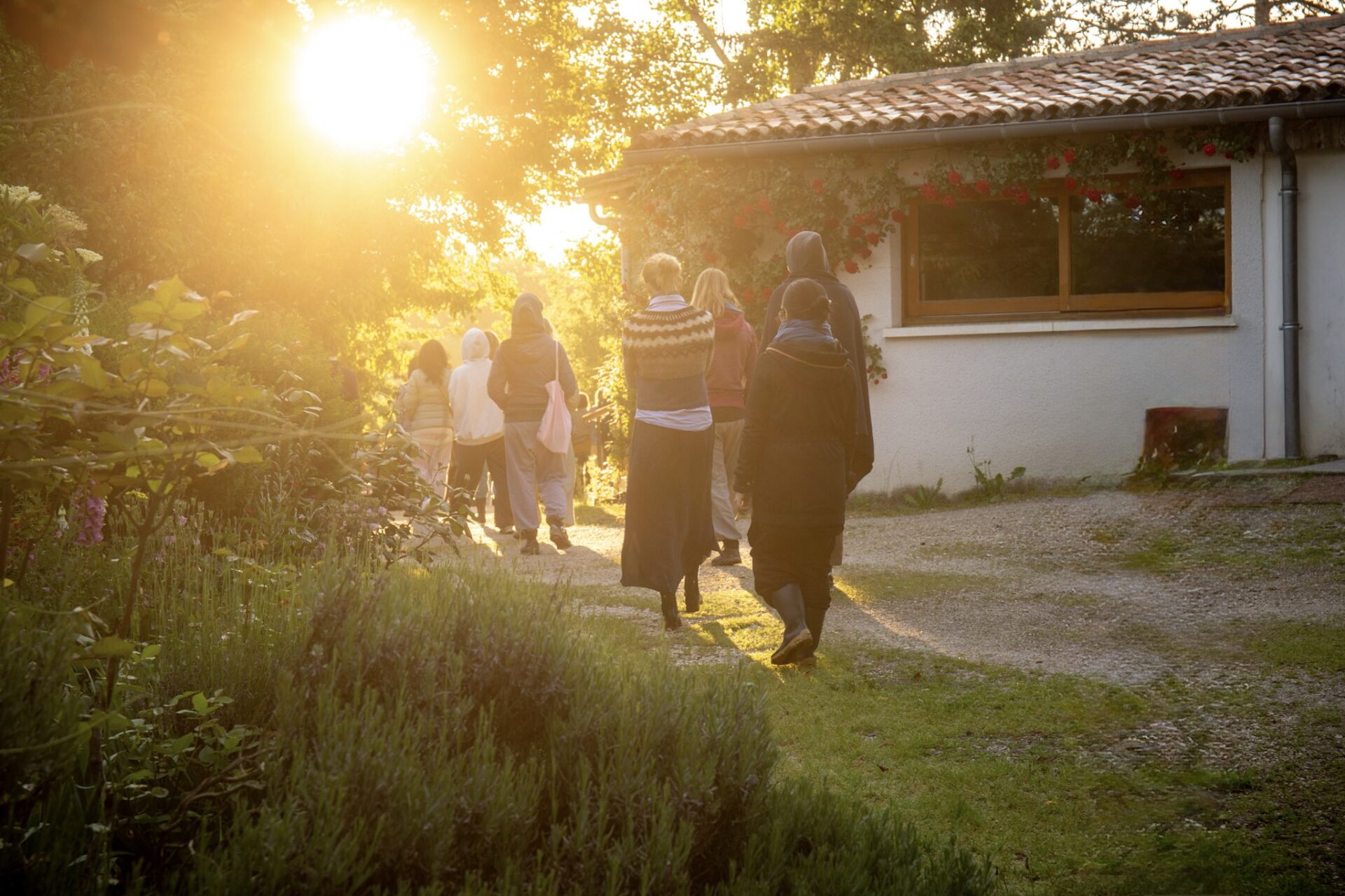 Calming the Fearful Mind: Finding Love & Resistance in a Troubled World ...